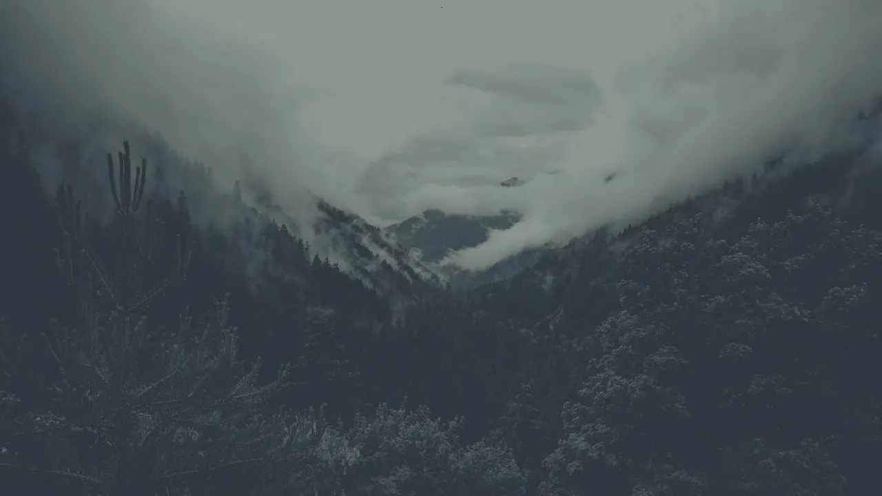 Everforest - Mod your browser | GX Store