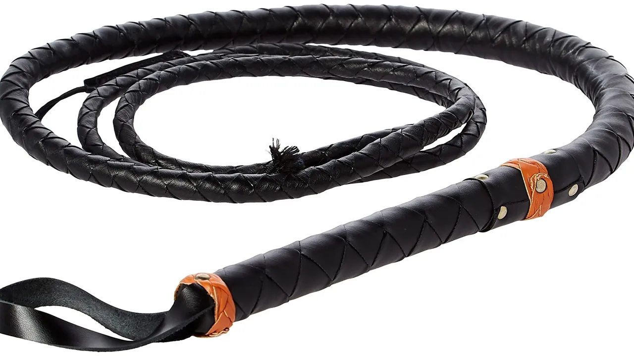 whip - Mod your browser | GX Store