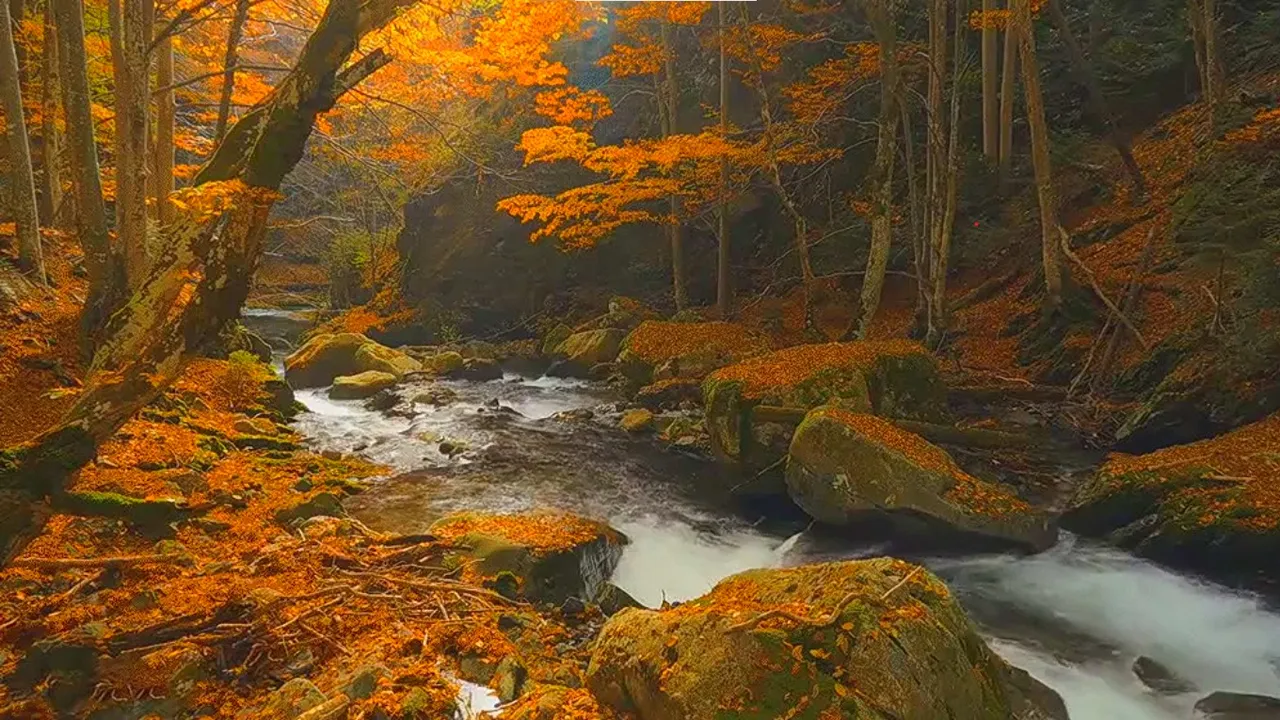 Autumn theme - Mod your browser | GX.store