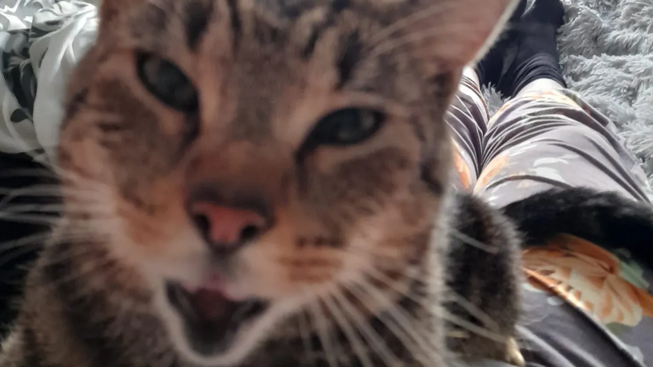 Ultrakill tcowtiahanto - Mod your browser | GX.store