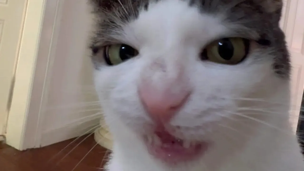 MRAU MOD - Mod your browser | GX Store