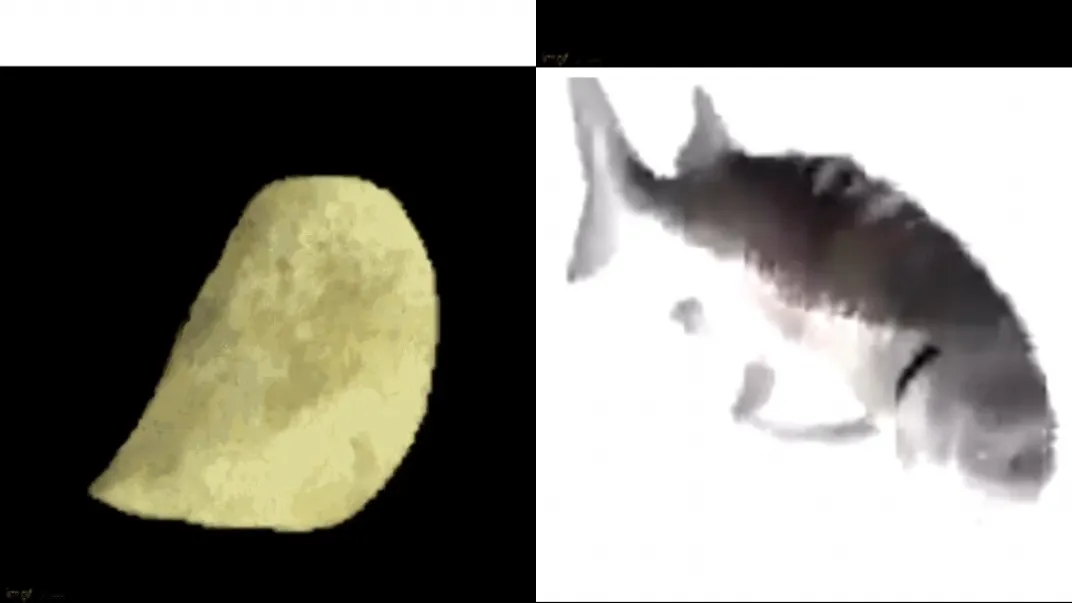 Funky Fish And Chip Town - Mod your browser | GX.store