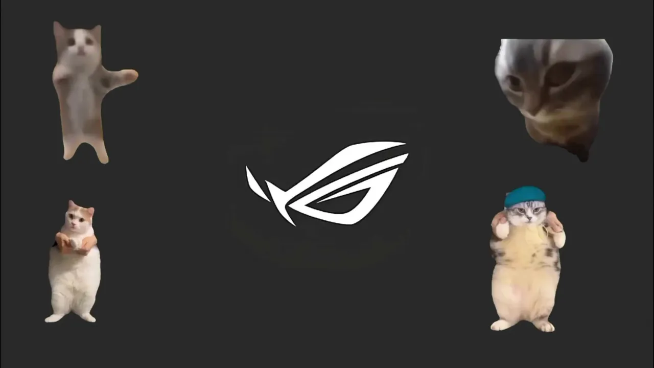 GX.Store - Mod your browser - Dancing cats with asus rog