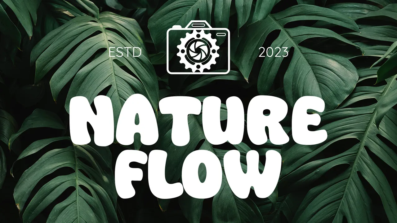 NatureFlow - Mod your browser | GX.store
