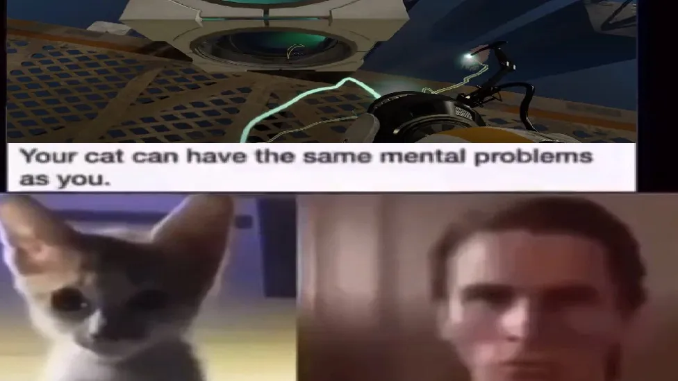 GX.Store - Mod your browser - Goofy Ah SLiva